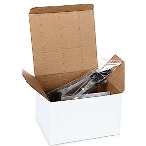 Vivaplex, 2, Large, 16 oz, Empty, Amber Glass Bottles with Black Lotion Pumps