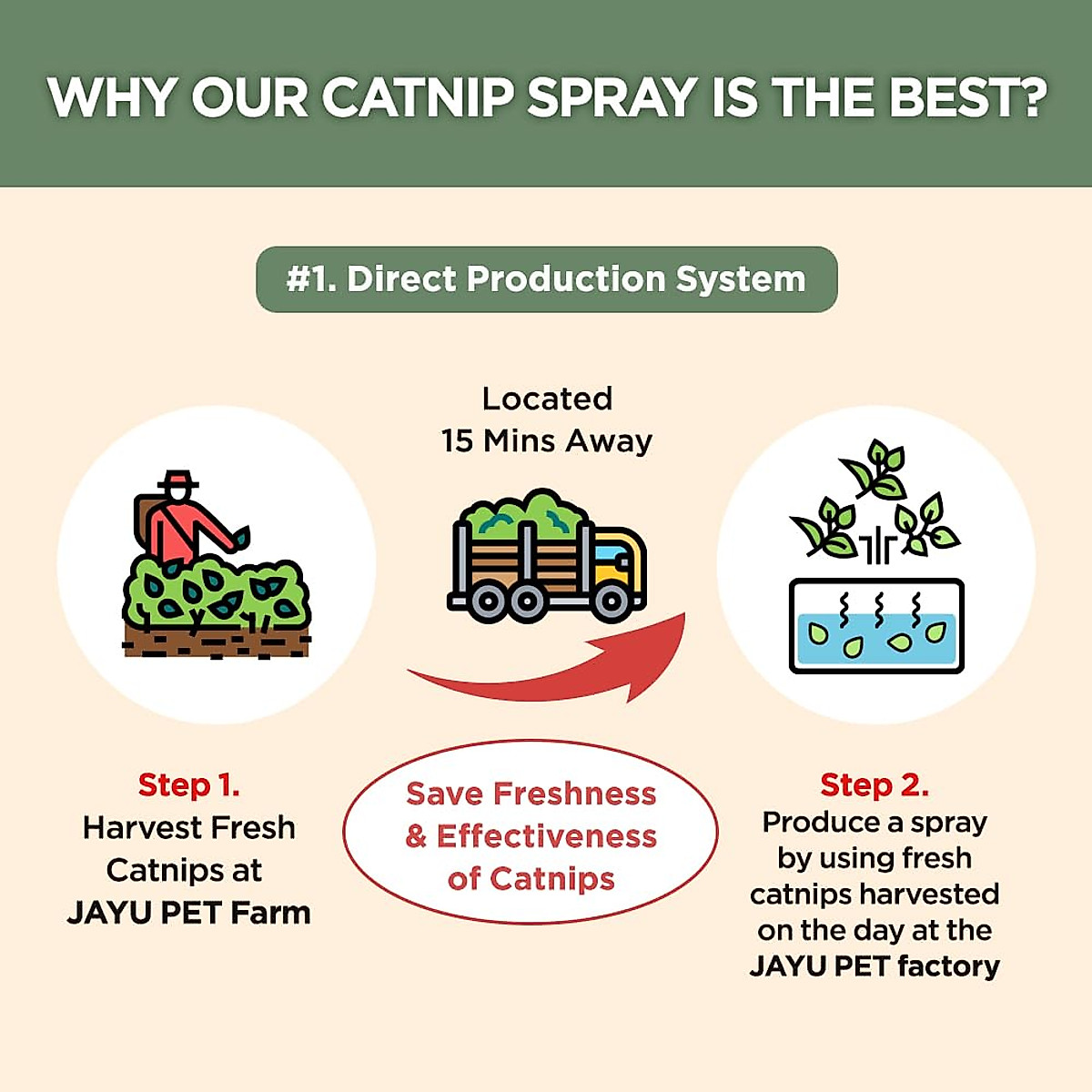 Active Catnip Spray - High Potency Transparent Liquid Spray made of Fresh Organic Catnip for Indoor Cats and Kittens, Relieves Stress, Calming, Revives Toys & Scratching Posts, Exercise (1fl oz)