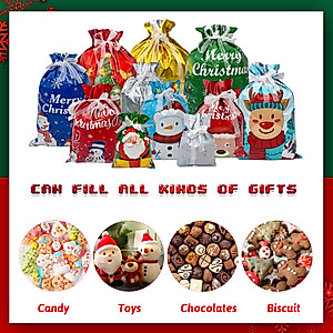 Lusy DM 40 Pcs Christmas Gift Wrapping Bag Christmas Wrapping Bag Assorted Size Goody Bags Treat Bag for Christmas Holiday Presents Party Favor (11 Design, 6 Size)