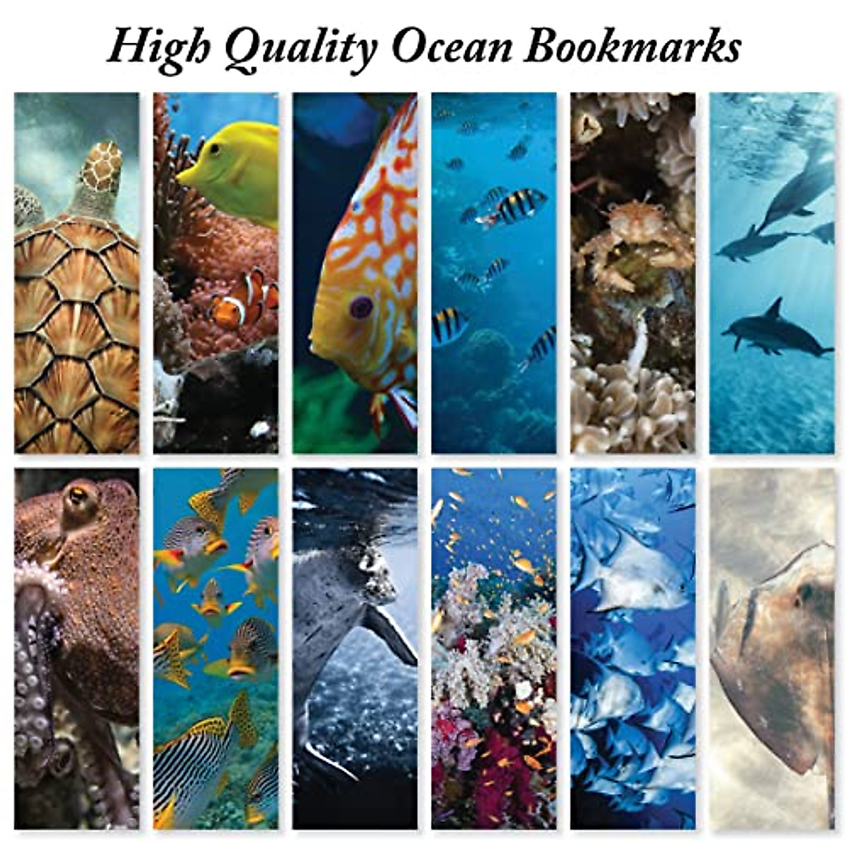 JBH Creations Ocean Animal Bookmarks - Pack of 48