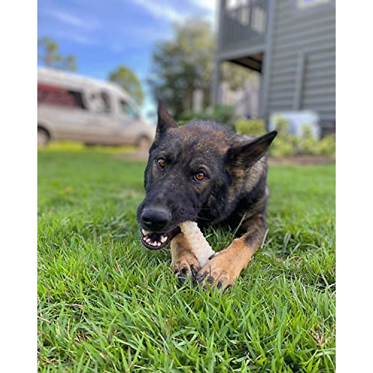 Nylabone Power Chew Textured Femur Bone Chew Toy for Dog, Indestructible Dog Toys for Aggressive Chewers Large Breed, Beef Flavor, X-Large/Souper (1 Count)