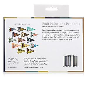 Lucy Darling Petit Milestone Pennants, 12 Felt Baby Monthly Milestone Banners for Baby Girl & Boy, Newborn Photography Props & Decor, Felt Pennant Flags, Perfect Baby Shower Gifts (Little Camper)