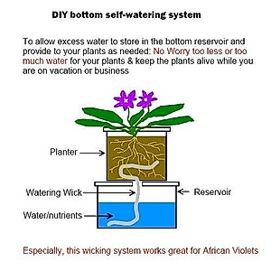 ORIMERC 30 Feet Self Watering Wick Cord for Vacation Potted Plants Planter Sitter Auto Waterer Wash Can Bonsai Terrarium Orchids Seedling African Violets and 500ML Watering Bottle for Succulents