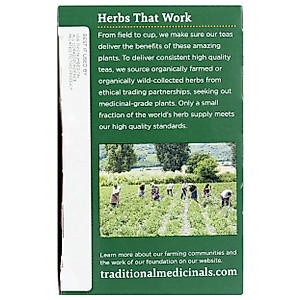 Traditional Medicinals, Organic Reishi Mushroom Tea, 16 Count