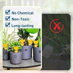 vertmuro 48 Pack Fruit Fly Traps for Indoor Outdoor, 3 Shapes Yellow Sticky Bug Traps, Double-Side Fungus Gnat Killer for Houseplants, Mosquitos, Flying Insects