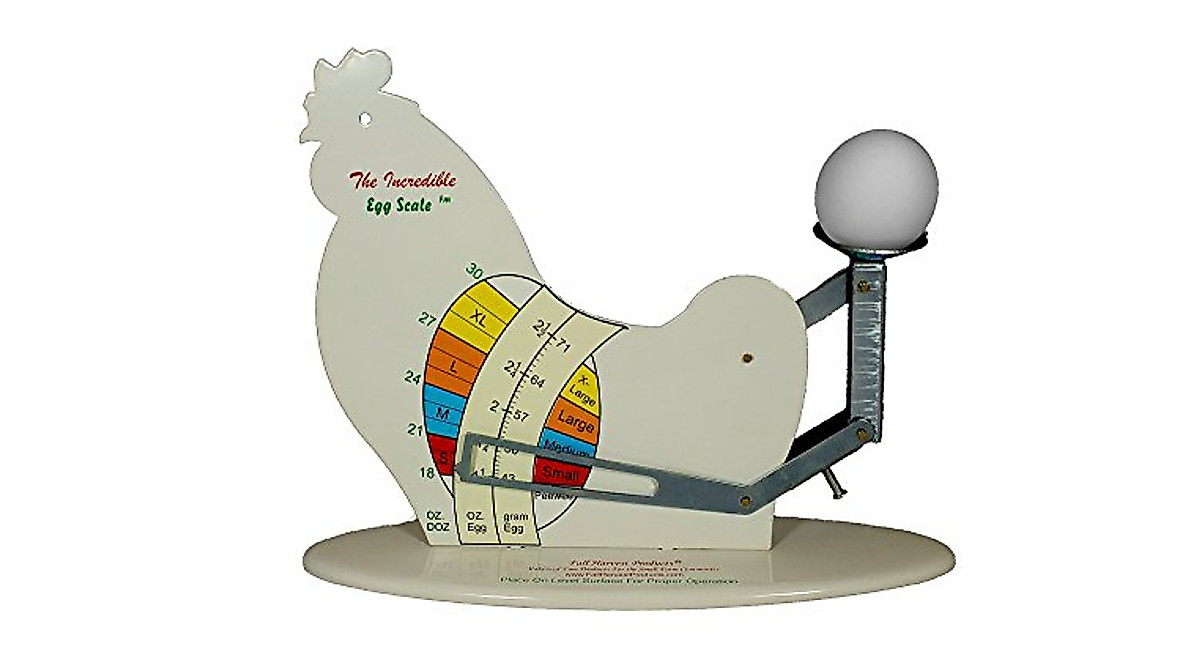 The Incredible Egg Scale - Accurate & Stylish Weighing