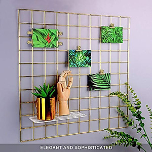 Coideal Small Gold Bull Hinge Clips, 30 Pcs Tiny Metal Binder Paper Clips for Tags Bags, Pictures Photos, Wire Grid Wall Decor, Office and Home Kitchen (Light Gold, 22mm)