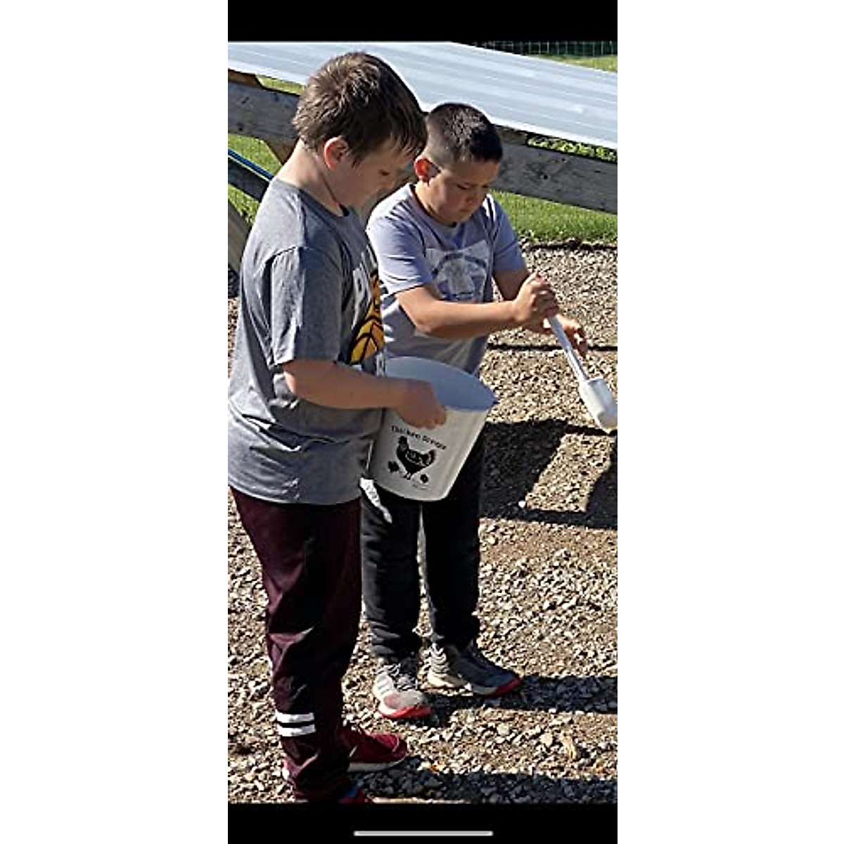 Chicken Scraps Bucket to collect your leftover food to feed your hens, roosters, feathered ladies, chicken friends chicks, free-ranged chickens, roos, or whatever you call your chickens (Chicken)