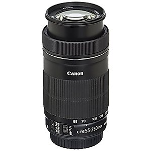 Canon EF-S 55-250mm F4-5.6 is STM