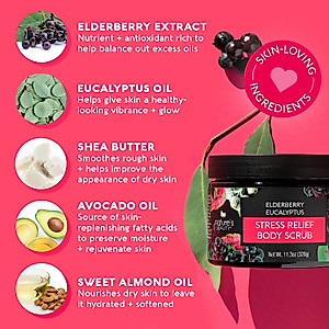 Nature's Beauty Elderberry Eucalyptus Stress Relief Body Scrub Multi-Pack - Gently Exfoliate, Relax & Calm Dry Skin, Made w/Shea Butter, Avocado Oil and Sweet Almond Oil, 11.3 oz (2 Pack)