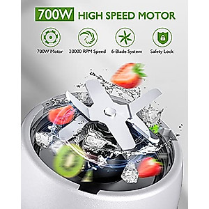 YaFex Personal Blender for Shakes and Smoothies, 700W 6-Blade Smoothie Blender for Frozen Fruit and Ice, with 1 28 Oz Travel Bottle, 1 To-Go Lid, BPA Free & Dishwasher Safe (Gray/Silver)