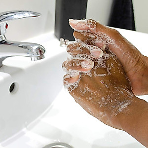 Ginger Lily Farms Botanicals ZeroDerm Advanced Therapy Nourishing Liquid Hand Soap Refill 100% Vegan Cruelty-Free Fragrance-Free, Unscented, 128 Fl Oz