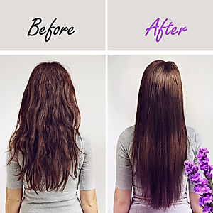 GREEN JOURNEY Lavender Shampoo and Conditioner Bar Set Sulfate-Free, Travel Size, Biodegradable Packaging (2)