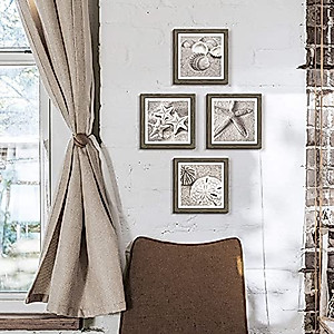 Framed Beach Gallery Wall Art: Starfish Seashell Conch Collection Pictures Prints Set of 4 Wall Decor for Bedroom (Multi-Style)