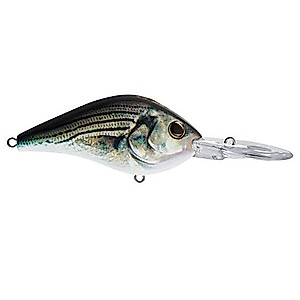 Berkley Dredger Fishing Lure, HD White Bass, 5/16 oz, 2in | 5cm Crankbaits, Tight, Subtle Action Ideal for Deep Water Fish, Equipped with Sharp Fusion19 Hook