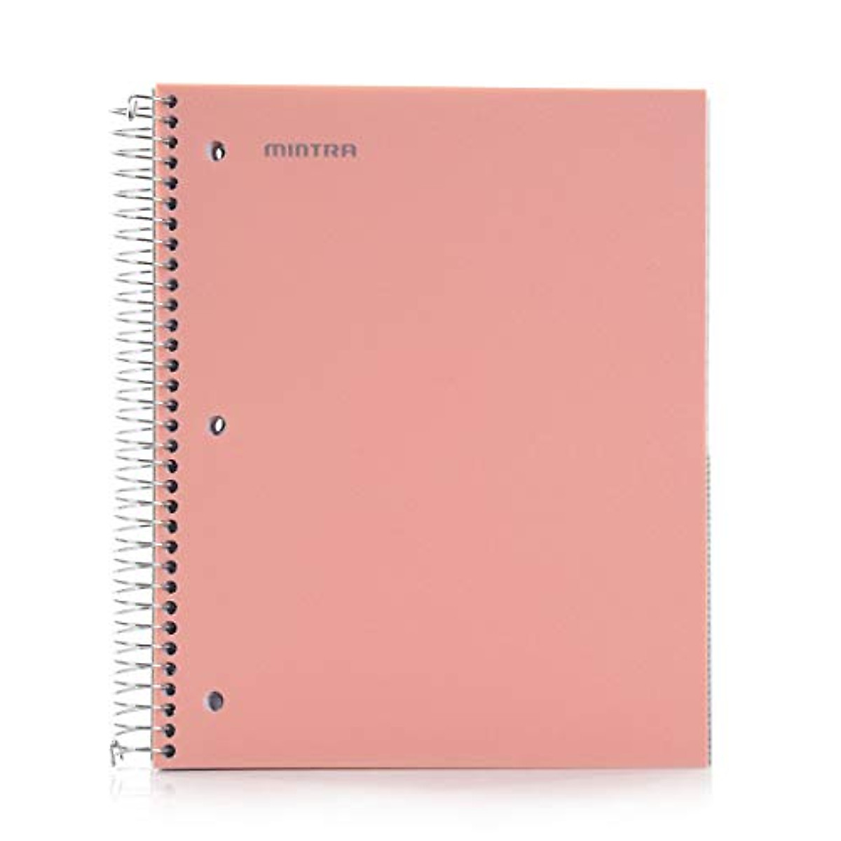 Mintra Office Durable Spiral Notebooks, 5 Subject, (Salmon, College Ruled 1pk), 200 Sheets, 5 Poly Pockets, Moisture Resistant Cover, School, Office, Business, Professional