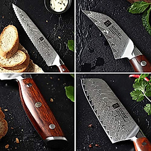 XINZUO 5-Piece Damascus Kitchen Knife Set, 67 Layer High Carbon Stainless Steel Forged Blade,Professional Chef Knife Set with Gift Box,Razor Sharp,Rosewood Handle - Yi Series