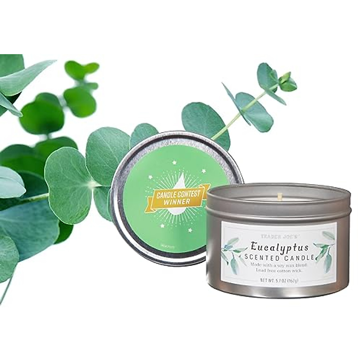 Trader Joe's Eucalyptus Scented Soy Candle (2 Pack)