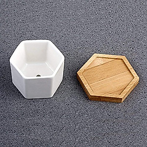 OAMCEG 6 Pack Succulent Plant Pots 2.75 inch Mini Succulent Planter, Set of 6 White Ceramic Succulent Cactus Planter Pots with Bamboo Tray (Plants NOT Included)