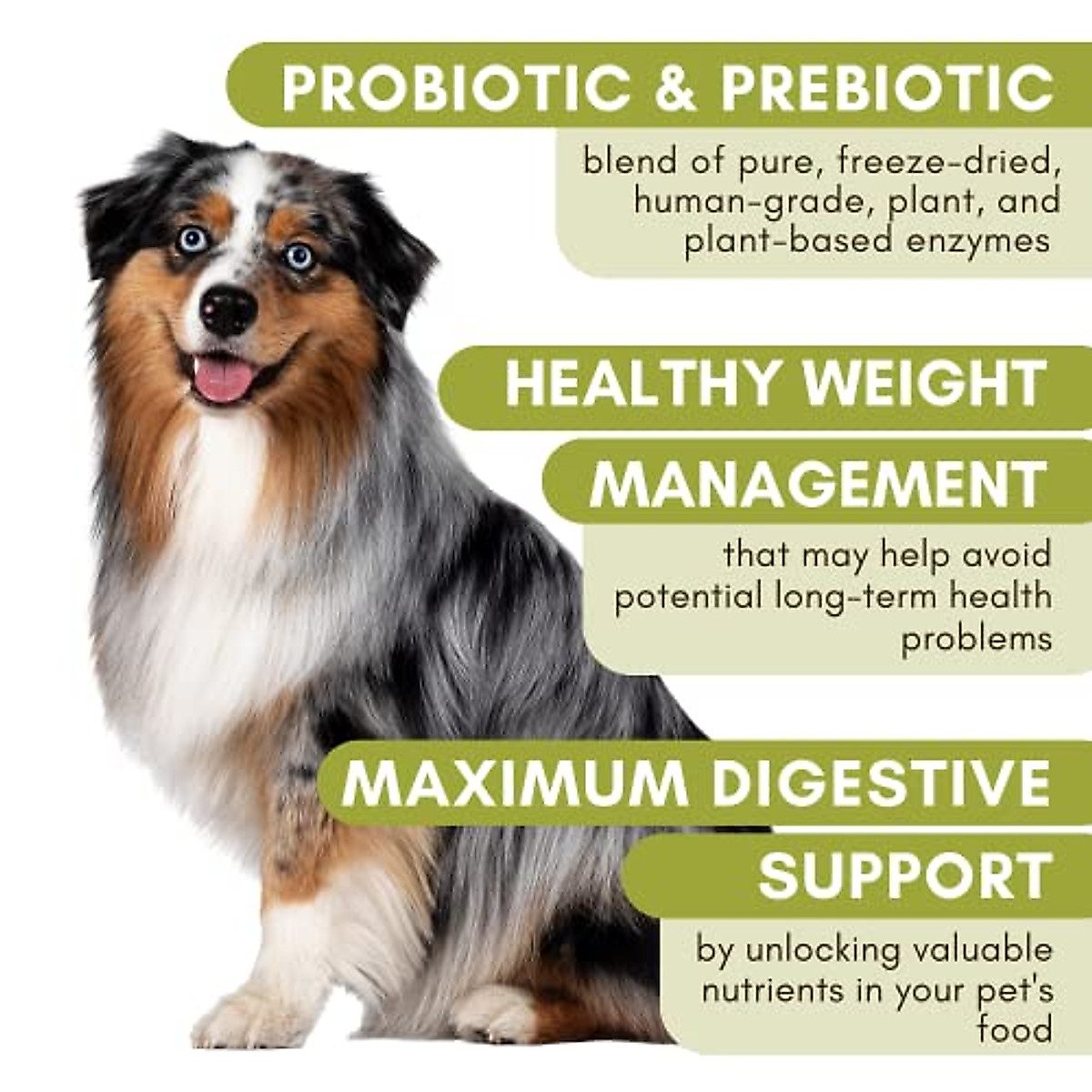 Wholistic Pet Organics: Dog Probiotics and Digestive Enzymes Powder Dog Prebiotic and Probiotic Supplement Prevents Upset Stomach Gut Health Probiotics for Dogs and Puppies Stool Ease for Dogs