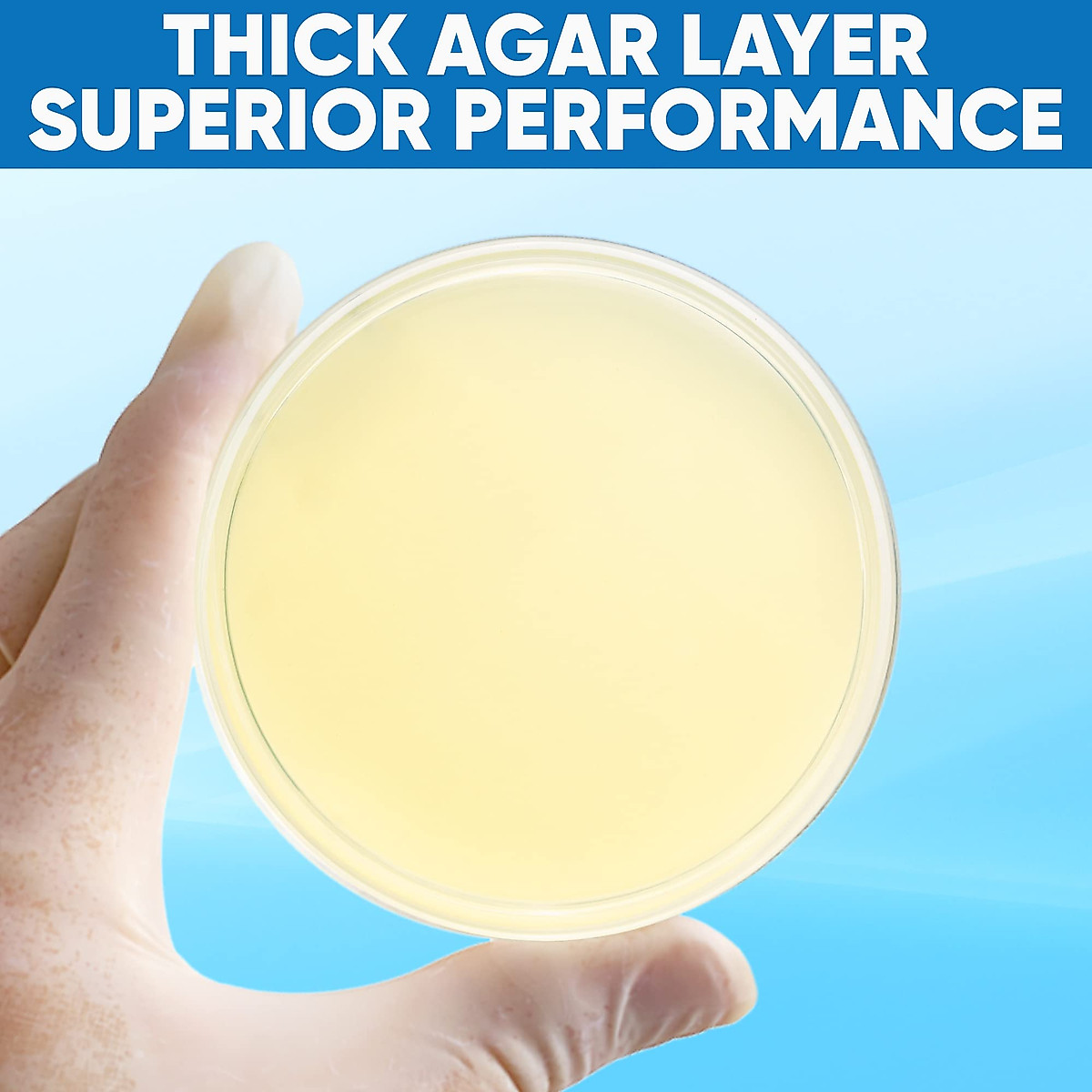 Nutrient Agar Plates by Evviva Sciences, Prepoured Nutrient Agar Petri Dishes for Science Fair Projects & Microbiology Experiment, Helps Microorganisms Thrive - Swabs Not Included