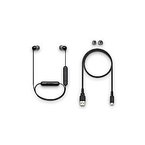 Sony WI-C300 Wireless In-Ear Headphones, Black (WIC300/B)