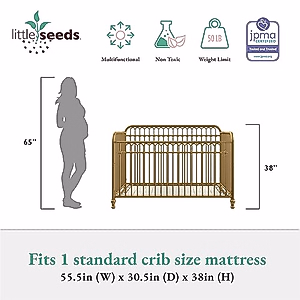 Little Seeds Raven 3-in-1 Convertible Metal Crib, JMPA Certified, Gold