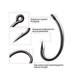 Fairiland Carp Hook Circle Shape Fish Hook 82B High Carbon Steel Fishing Hooks PTFE Coated Matt Black Barbed Hook for Saltwater Freshwater Packed in Hook Box(250pcs 5-Size)