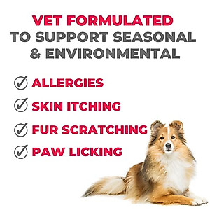 Mighty Petz MAX Dog Allergy Relief Chews - Itch Free Skin - Immune Supplement with Omega 3 Fish Oil + Probiotics + Colostrum. Skin & Coat Health + Digestion.120 Dog Allergy Chews for Pets