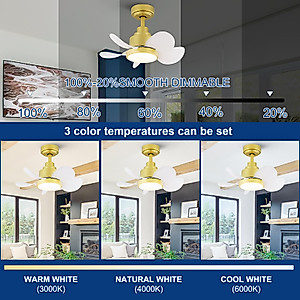 Ceiling Fan With Lights and Remote,Large Airflow 22inch Quiet Reversible Noiseless DC Motor 5 Blades Ceiling Fans for Indoor Bedroom Living Room Room Patio(White Gold)