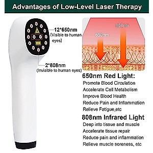 iKeener Handheld Red Light Therapy for Dogs,Portable LLLT Vet Device for Dogs and Pets, 650nm & 808nm Infrared Therapy for Pain Relief,Itching Skin & Wound Care in Dogs, Cats, Horses