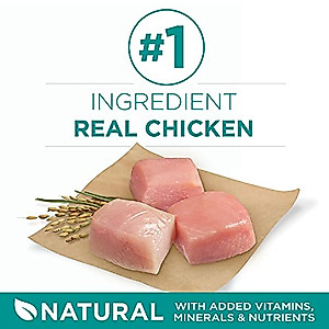 Purina One Plus Digestive Health Formula Dry Dog Food Natural with Added Vitamins, Minerals and Nutrients - 16.5 Lb. Bag