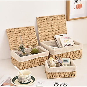 Rattanzenith Small Wicker Basket with Lid Paper Rope Storage Baskets for Shelves Set of 3 Tampon Holder with Lid and Removable Liner for Bathroom Makeup Closet Drawer Desk Organizer (Khaki)