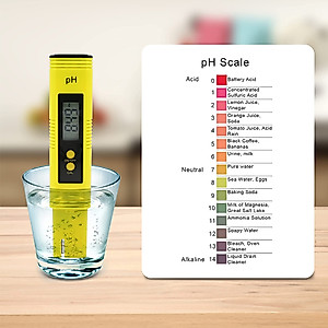 Water Quality Tester, Digital TDS, EC & Temperature Meter 3 in 1 and Digital PH Meter, 0-9999ppm