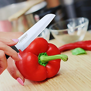 EANINNO Paring Knife Set-4 Paring Knives 4 Cover, Upgraded 3.8 inch Small Peeling Fruit Knife Stainless Steel Kitchen Sharp Cutting Vegetable with Sheath Thickened Blade Handle