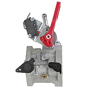 Realman 799060 84004885 Carburetor For Briggs & Stratton Snowblower Generator Engine 19H132 19H232 19H236 19H237 19H252 19L132 19L136 19L137 19L232 19L236 19L237 19L252