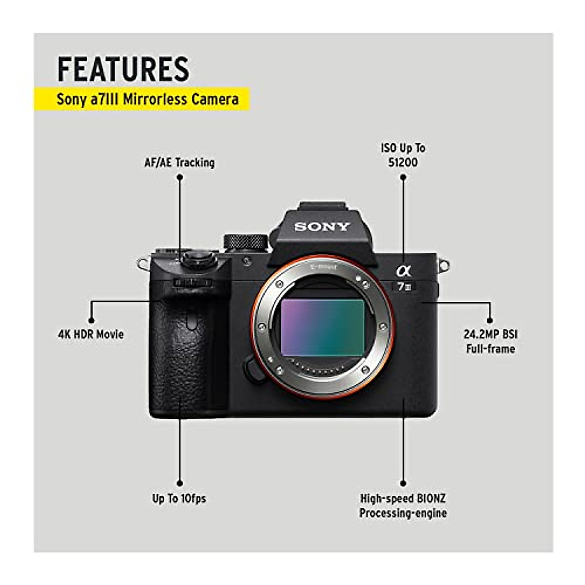 Sony Alpha a7 III Mirrorless Digital Camera (Body Only) Bundle with 60-Inch Tripod and Accessories (7 Items)