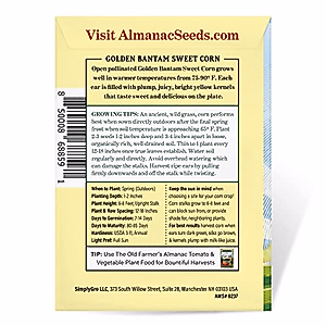 The Old Farmer's Almanac Heirloom Sweet Corn Seeds (Golden Bantam) - Approx 75 Seeds - Non-GMO, Open Pollinated, USA Origin