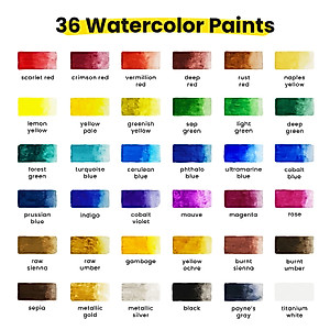 Chalkola Watercolor Paint Set for Adults, Kids, Beginner & Professional Artists - 36 Watercolor Tubes Set (12ml, 0.4oz), 10 Painting Brushes & 1 Palette | Vibrant Water Color Art Painting Supplies