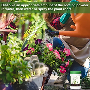YDFBotian Rooting Powder, 8.8 oz, Plant Rooting Hormone, Rooting Hormone for Cuttings, Suitable for Violets, Azaleas, Rose, Geraniums, Coleus, Orchids, Vannamei and Most Indoor and Outdoor Plant