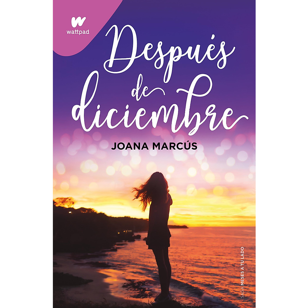 Después de diciembre / After December (Wattpad. Meses a tu lado) (Spanish Edition)