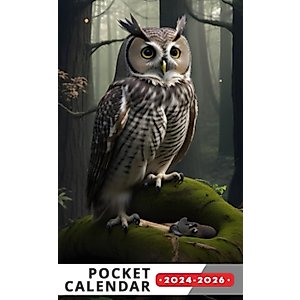 Pocket Calendar 2024 - 2026 With Moon Phase: Three-Year Monthly Planner for Purse , 36 Months from January 2024 to December 2026 | Wise old owl | ... | Help forest creatures | Answer questions