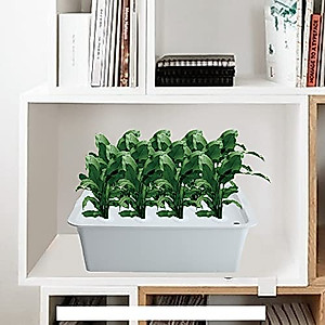 Xeternity-Made Indoor Hydroponic Grow Kit with Bubble Stone, 11 Sites (Holes) Bucket, Air Pump, Sponges - Best Indoor Herb Garden