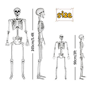 INHOTBY Halloween Skeleton Life Size,2 Pack - Adult (5.4ft) and Child (3ft) Full Size Posable Skeleton,Plastic Skeleton Halloween Decor,Scary Halloween Party Decorations Outdoor/Indoor