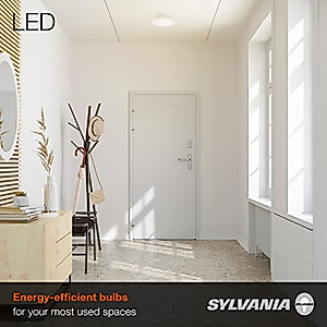 LEDVANCE 75081 1 Ceiling lamp, 1 Count (Pack of 1), Cool White