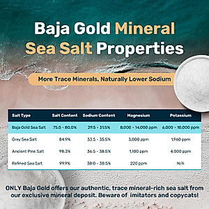 Baja Gold Mineral Sea Salt - Organic Natural Grain Salt for Cooking & Baking | Authentic Baja Salt | Ideal for All Culinary Creations | 1 lb. Resealable Bag, 300+ Servings