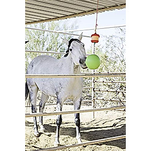 Horsemen's Pride Combo Horse Stall Toy: Apple Scented Jolly Ball and Apple Flavored Snack Holder (SS203)