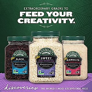RiceSelect Discoveries Sweet Sticky Dessert Rice, Gluten-Free, Non-GMO, Vegan, 14.5-Ounce Jar, White