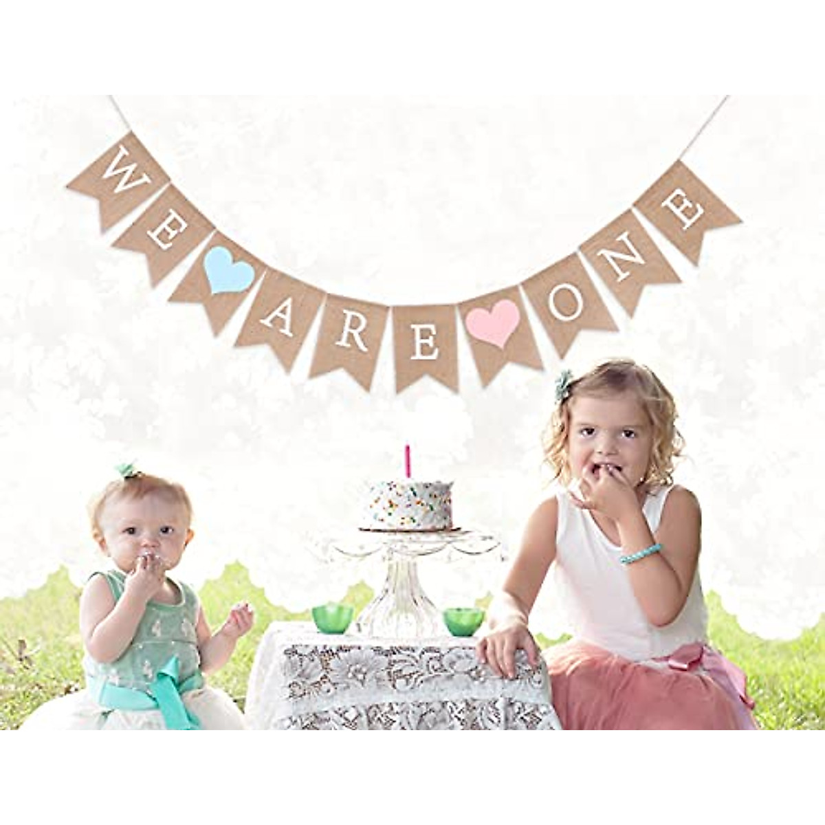Twins Banner for 1st Birthday - We Are One Banner, Twins Birthday Party Banner, Twins Frist Birthday Decor, Girls Boys First Birthday Decoration,Photo Prop
