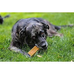 Top Dog Chews – Medium Himalayan Yak Cheese for Dogs, 100% Natural & Long-Lasting Dog Treats, Gluten Free & Digestible Cheese Sticks, Sold by The Pound (1LB, ~5 Dog Chews)